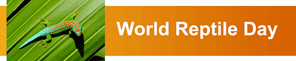 World Reptile Day: 10 Interesting Facts | Latest News